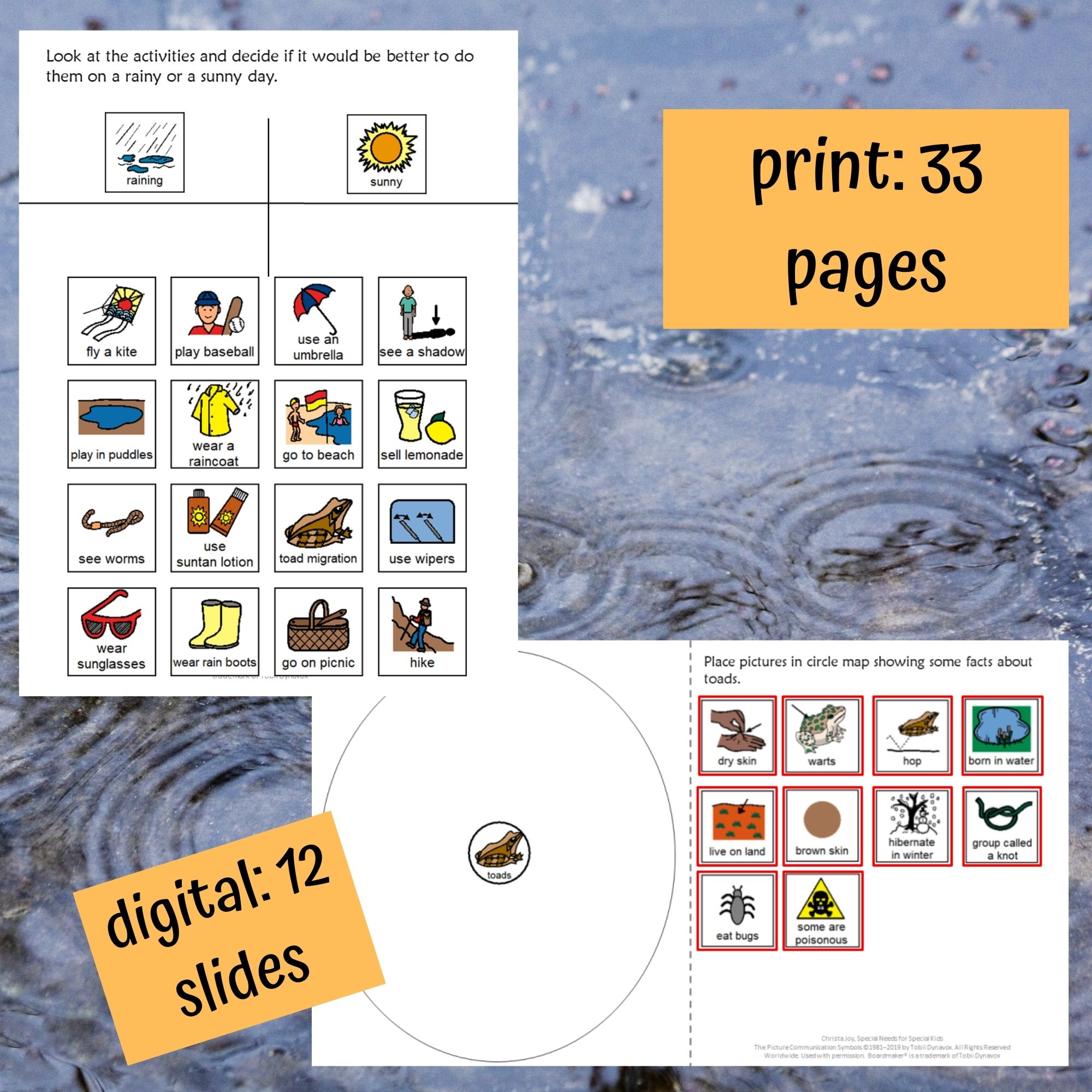 Toad Weather Literacy Unit for Special Education PRINT and DIGITAL ...
