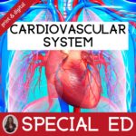 Cardiovascular System Unit for Special Education | Human Body • Special ...