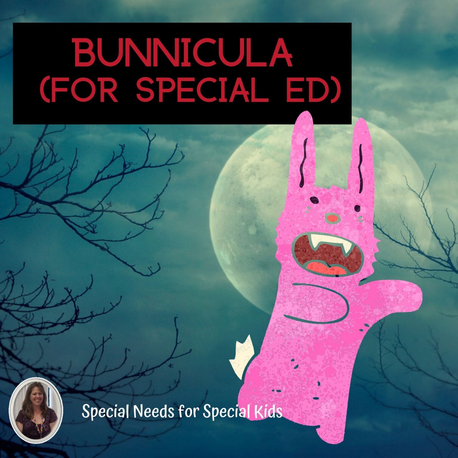 Bunnicula Study For Special Ed With Comprehension Questions Special bunnicula-study-for-special-ed-with-comprehension-questions-special