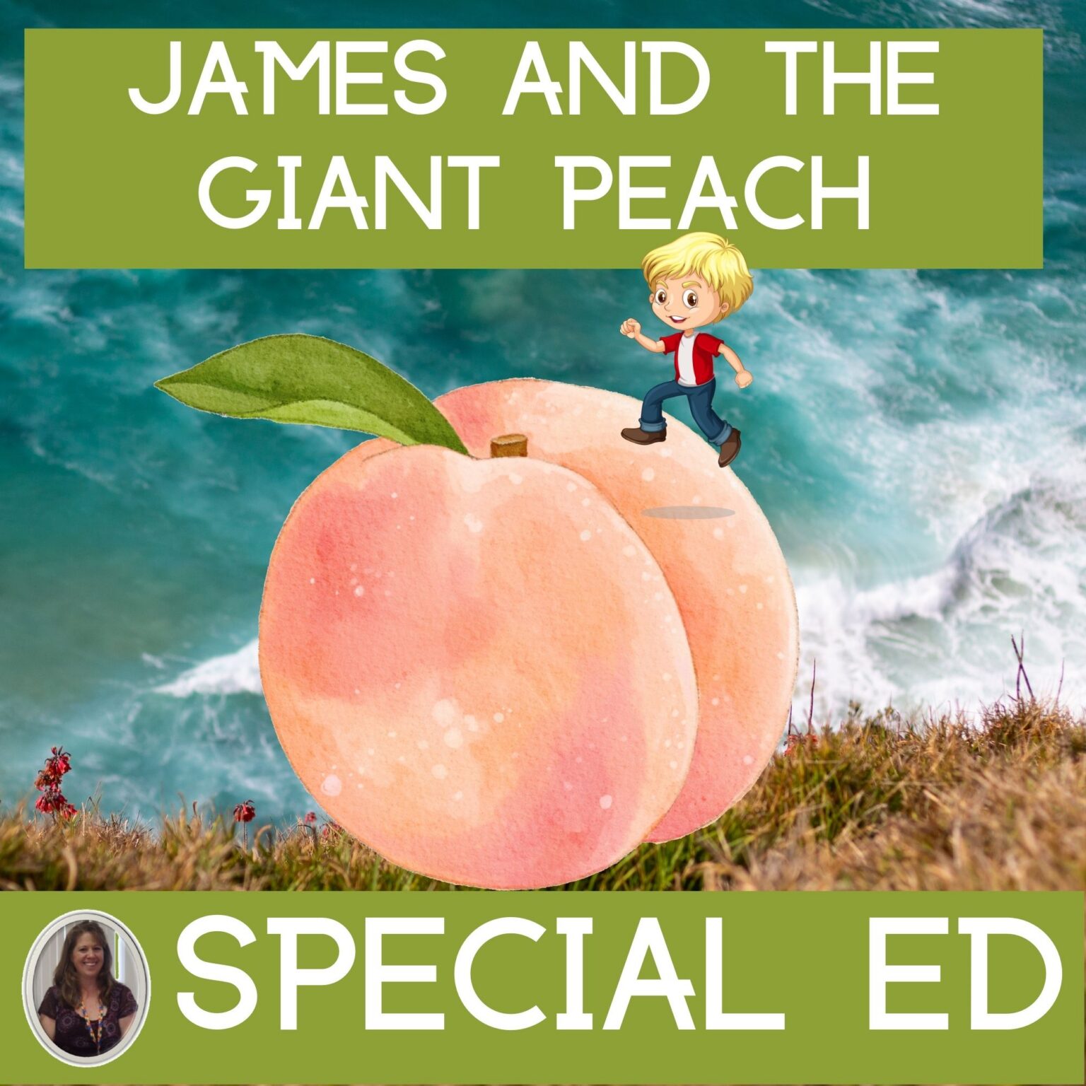 James and the Giant Peach Novel Unit for Special Education Roald Dahl ...