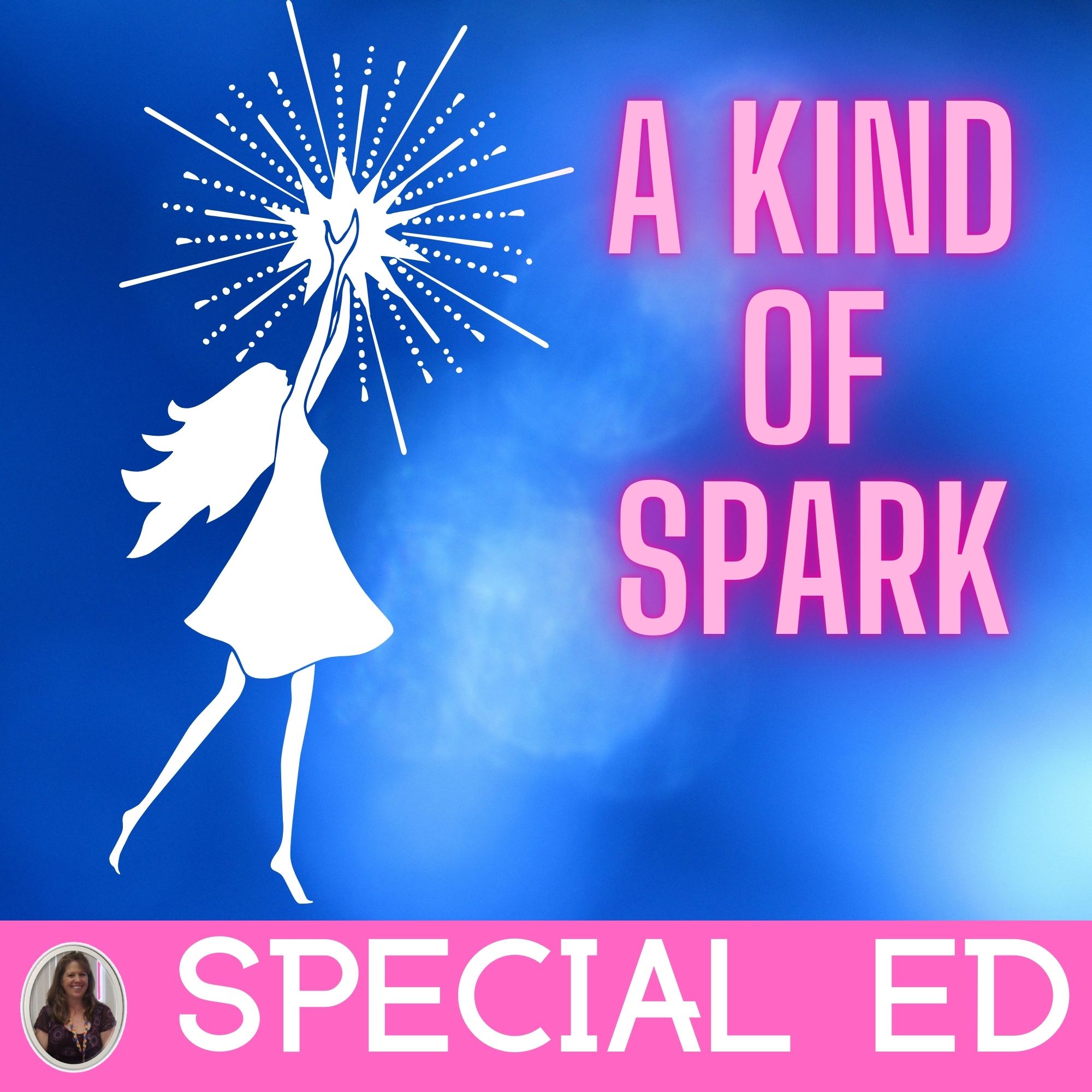 A Kind of Spark Novel Study for Special Education with chapter ...