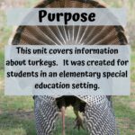 Turkey Unit for Special Education • Special Needs for Special Kids