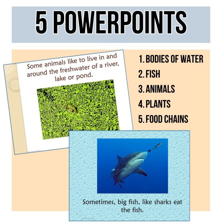 Aquatic Biomes & Ecosystems Special Education Saltwater & Freshwater ...