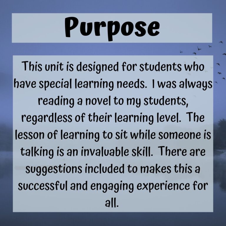 The Wide Window Novel Study for Special Education with chapter ...