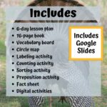 Turkey Unit for Special Education • Special Needs for Special Kids