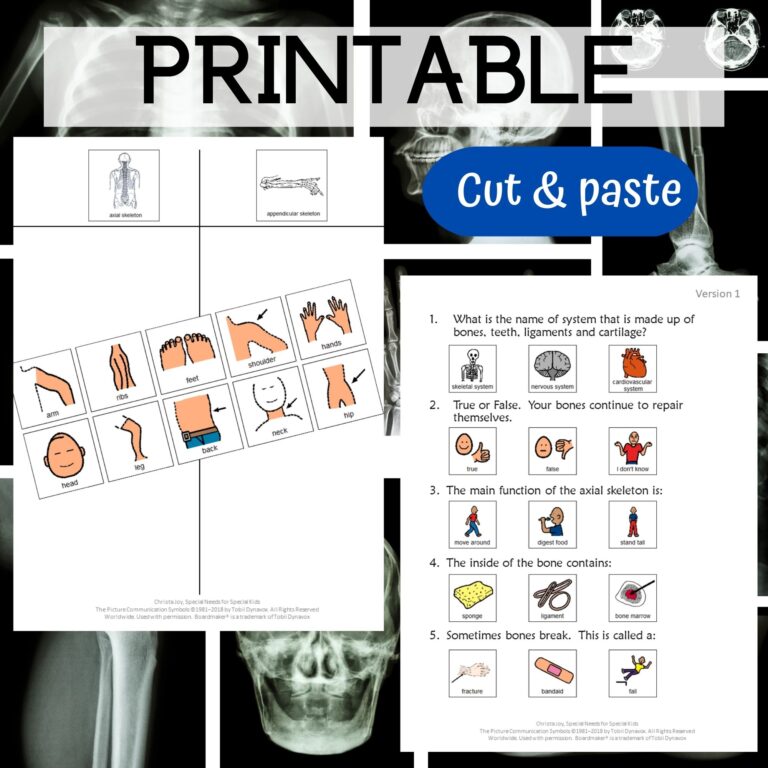 Skeletal System Unit for Special Education | Human Body • Special Needs ...