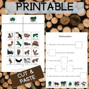 Deforestation Unit Special Education PRINT AND DIGITAL | Environmental ...