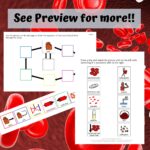 Circulatory System for High School Special Ed with lesson plans ...