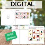Tops and Bottoms Unit for Special Education with digital activities ...