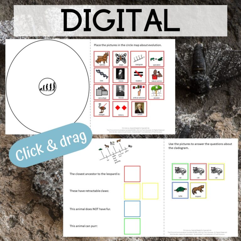 Evolution Unit and Cladograms for Special Education • Special Needs for ...