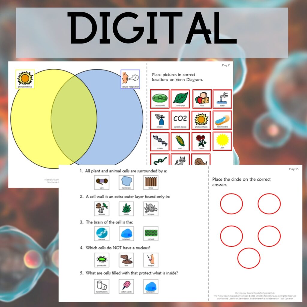 Basic Biology Bundle for Special Education includes Cells Mitosis and ...