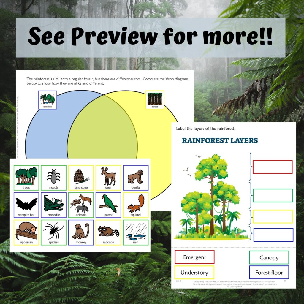 Afternoon on the Amazon: MTH #6 Novel Study for Special Ed with ...