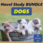 Dogs Novel Studies Bundle for Special Education • Special Needs for ...