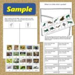 Dogs Novel Studies Bundle for Special Education • Special Needs for ...
