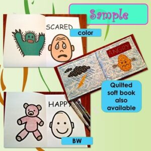 Emotions Social Story for Pre-K • Special Needs for Special Kids