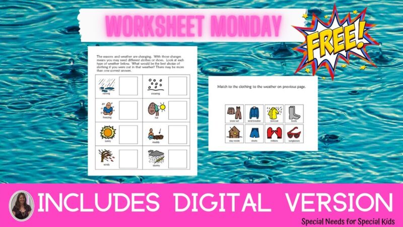 Matching clothing to weather free worksheet for special education ...
