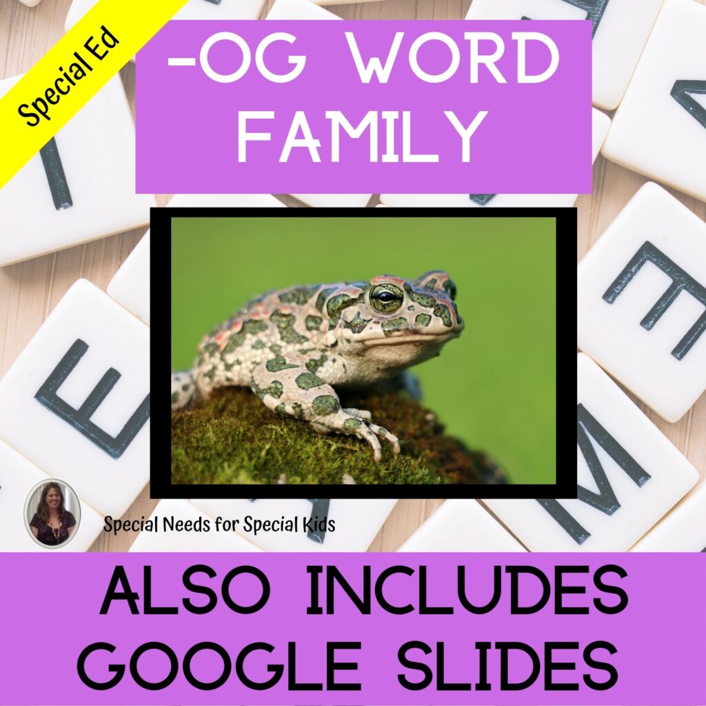 og Word Family for Special Education PRINT and DIGITAL • Special Needs ...