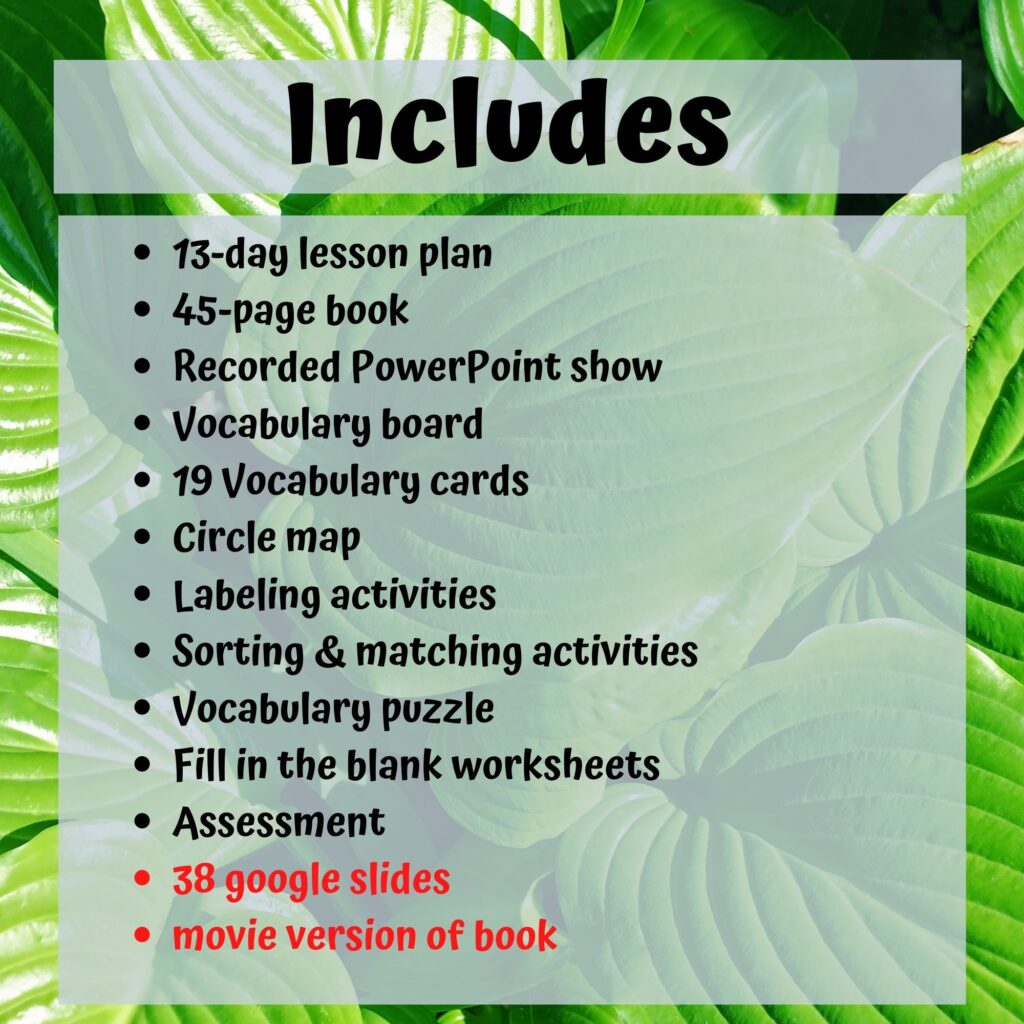 Parts of Plants for Special Education PRINT and DIGITAL • Special Needs ...