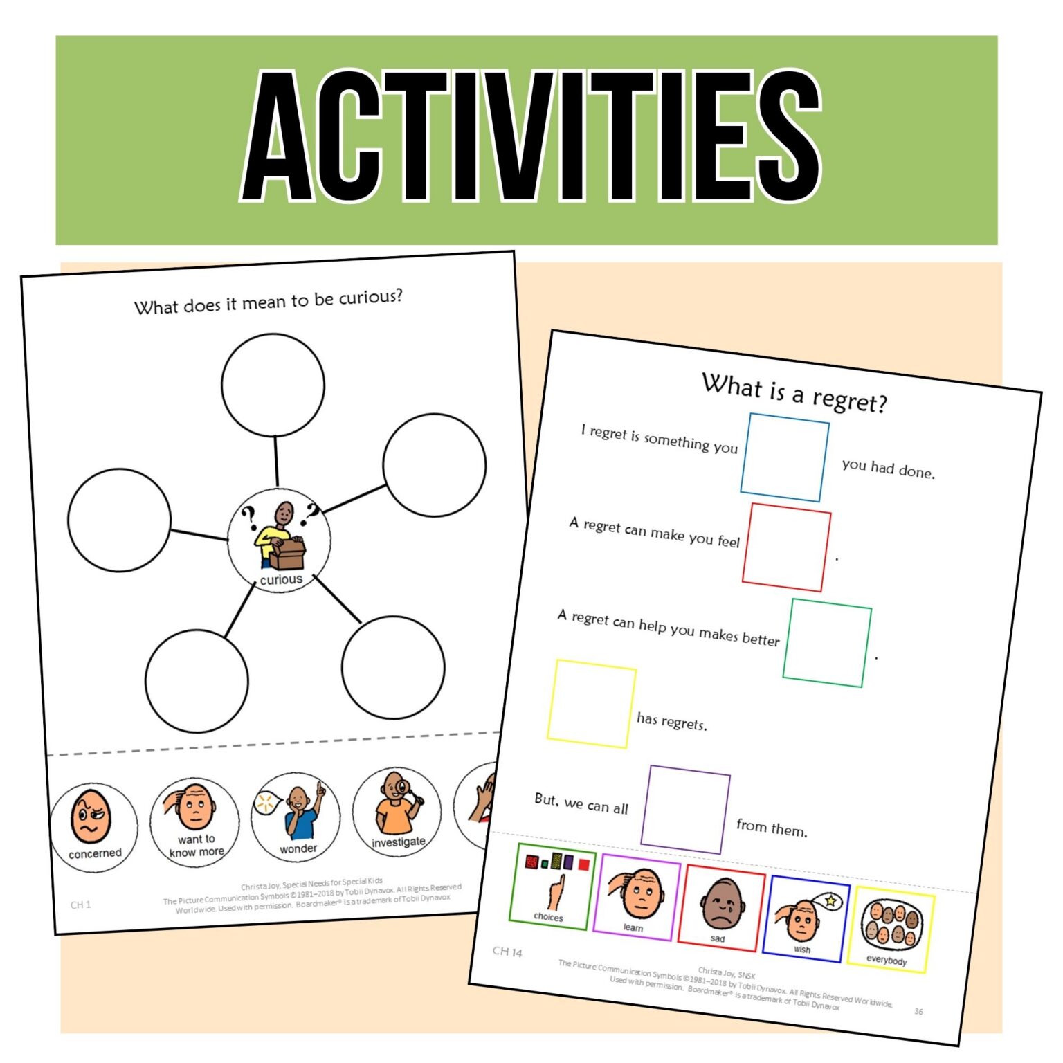 Anne of Green Gables Adapted Novel Study Special Ed Activities ...