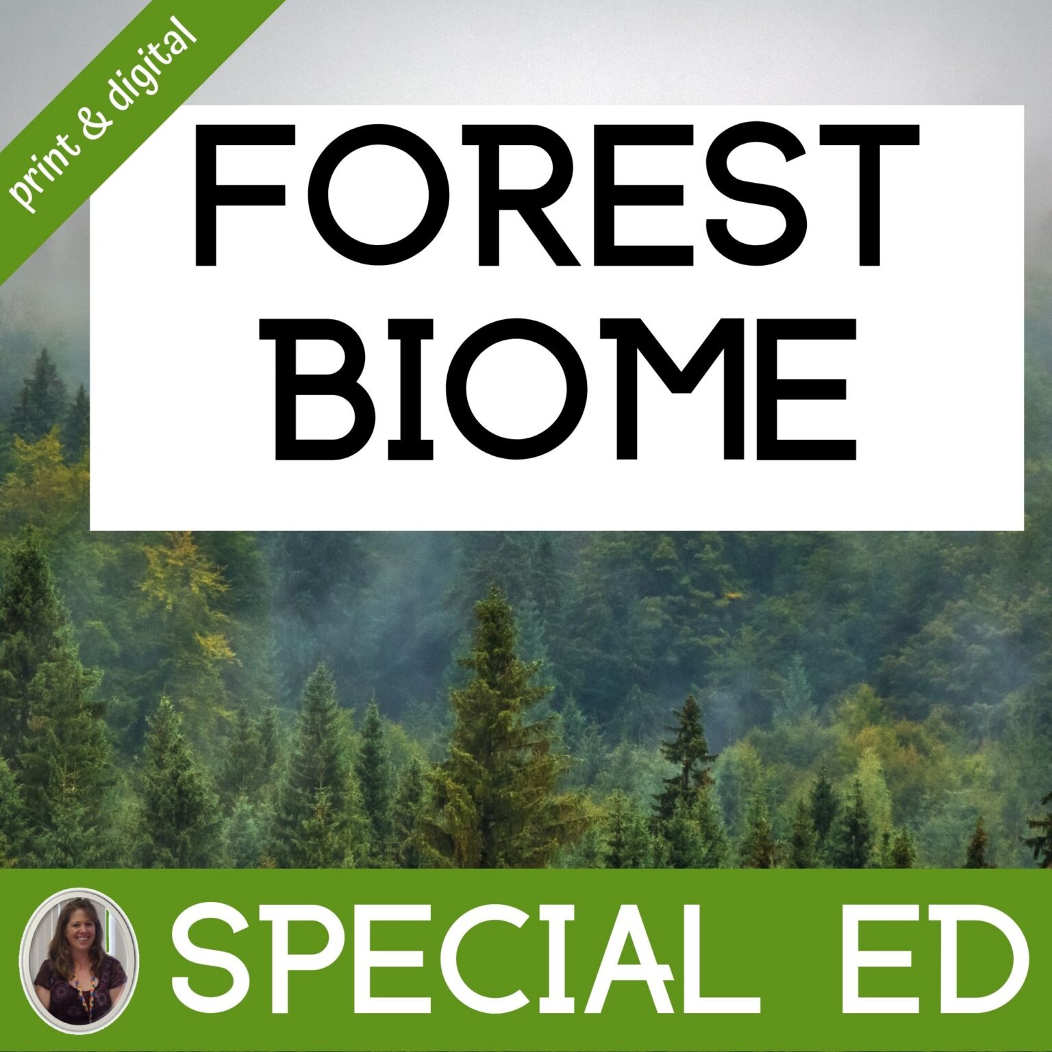 Forest Biome for Special Education | Temperate Rainforest Taiga ...