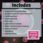 Nucleus of the Cell Organelle Unit for Special Education PRINT and ...