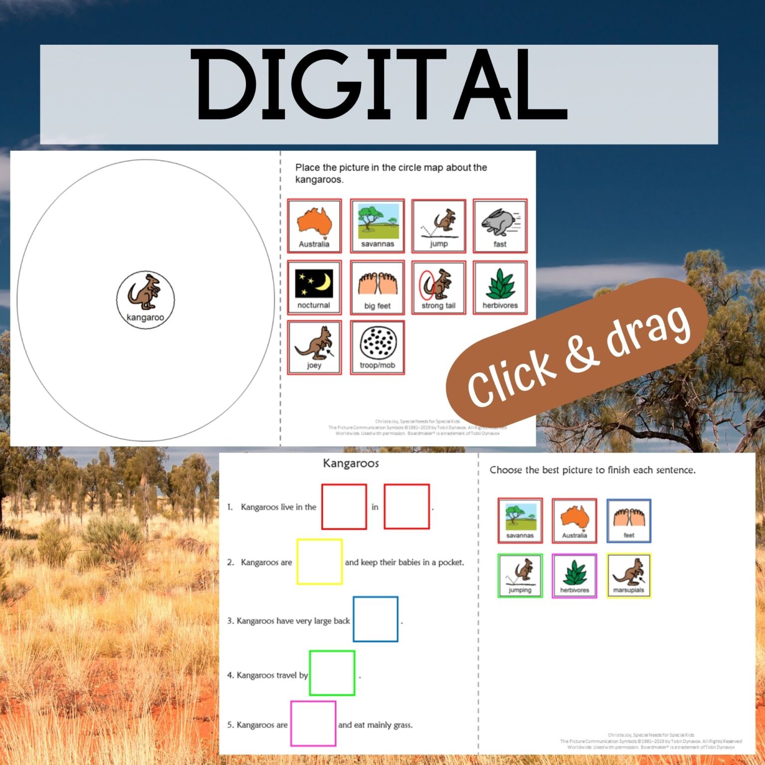 Kangaroo Unit for Special Education | Savannas Biome • Special Needs ...