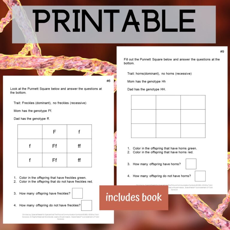 Punnett Squares for Special Education Biology Genetics Heredity ...