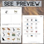 The Horse and His Boy Novel Study for Special Education Chronicles of ...