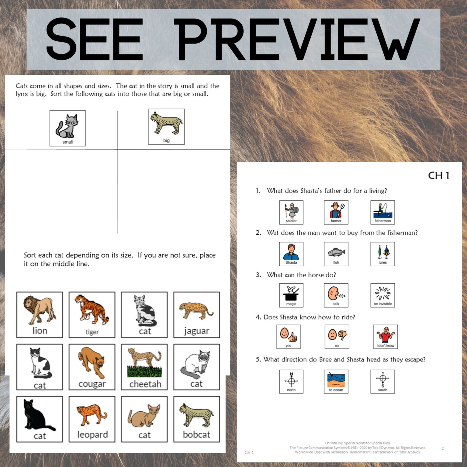 The Horse and His Boy Novel Study for Special Education Chronicles of ...