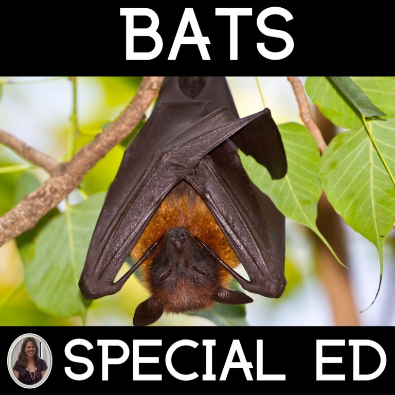 All About Bats Unit for Special Education PRINT and DIGITAL Halloween ...
