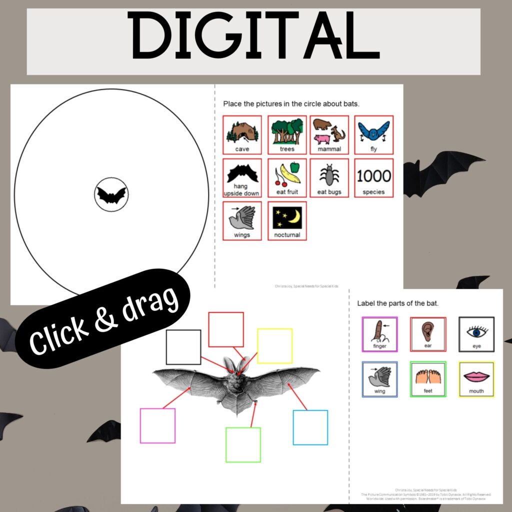All About Bats Unit for Special Education PRINT and DIGITAL Halloween ...