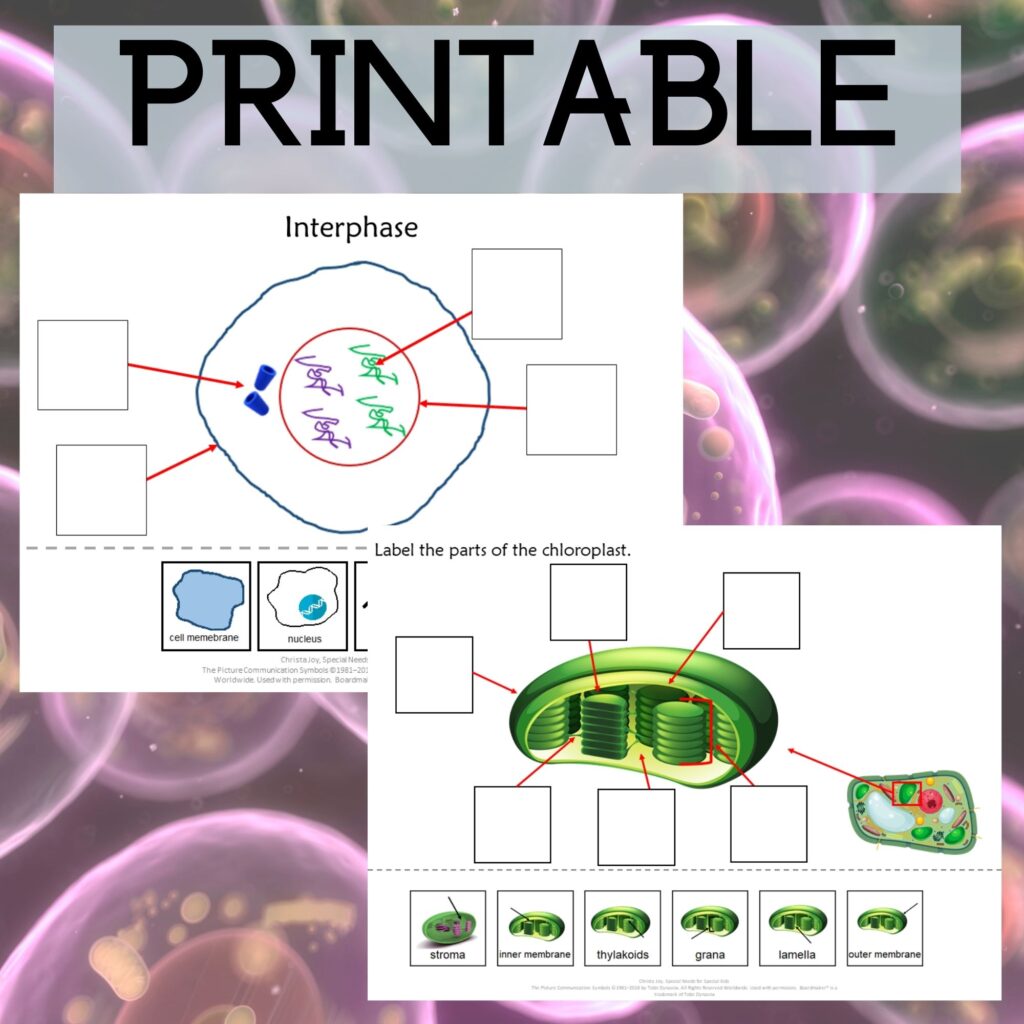 Complete Biology Curriculum for Special Education Cells, Genetics ...