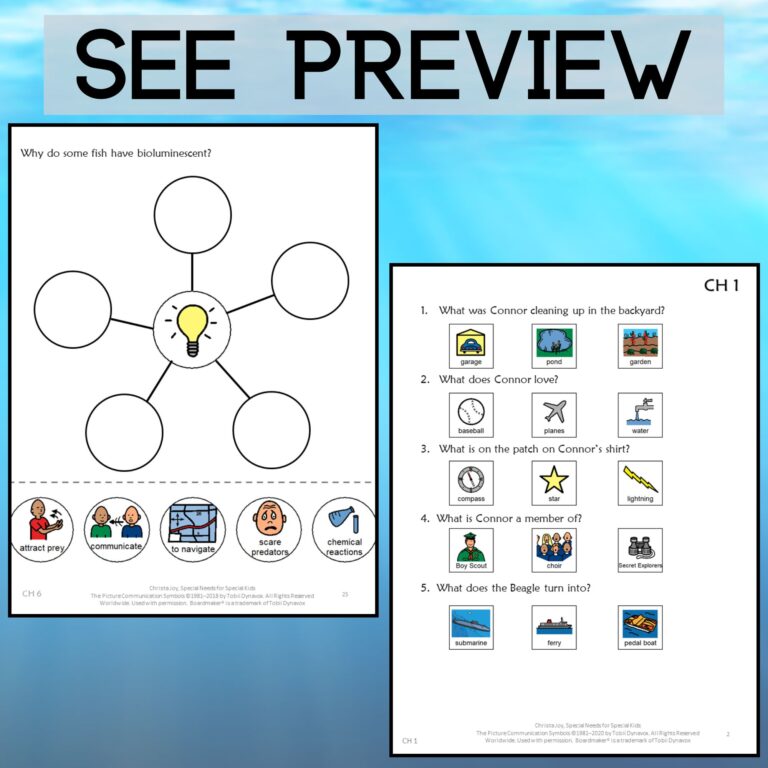 The Secret Explorers and The Lost Whales Novel Study Special Education ...