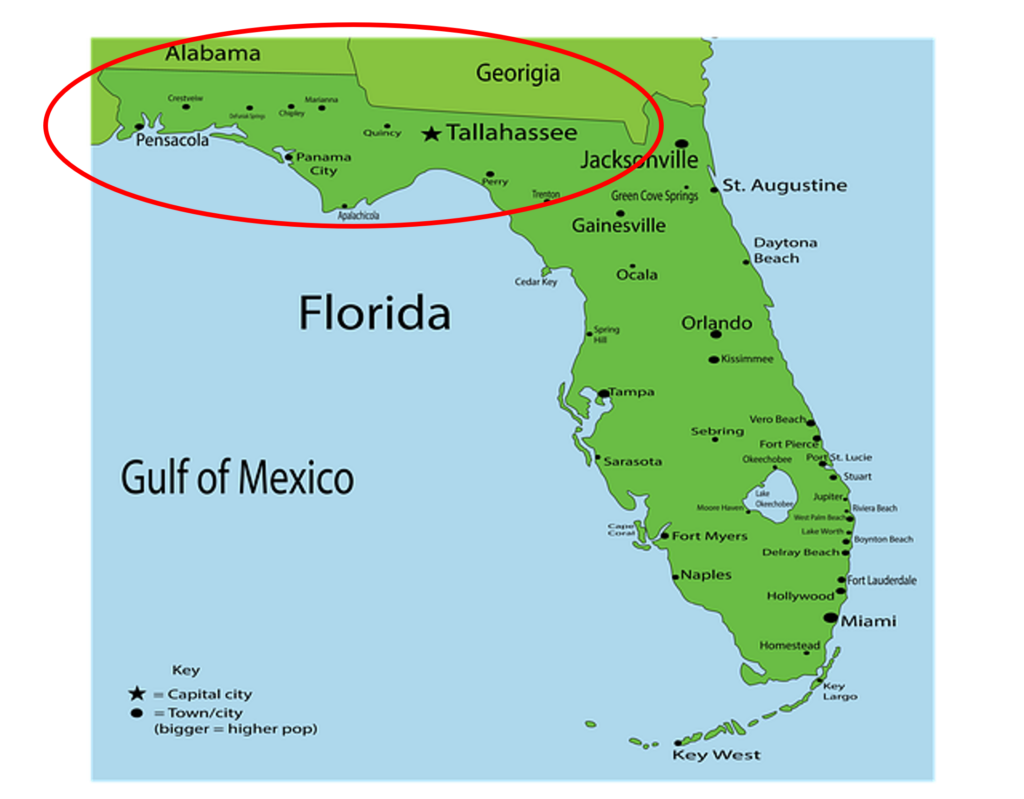 Facts About Florida Learning About US States in Special Ed