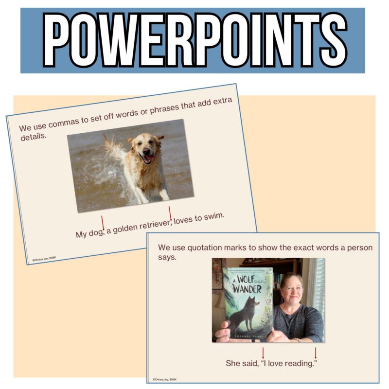 Capitalization & Punctuation Worksheets Special Education Middle School ...
