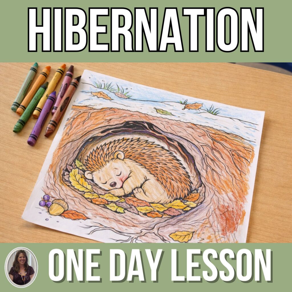 Animals that Hibernate Hibernation Worksheet Hibernation Station One ...