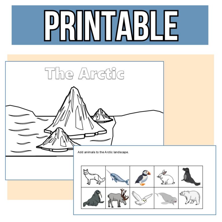 Arctic Animals Coloring Pages, Lesson Plans, Bingo Adapted Science Unit ...